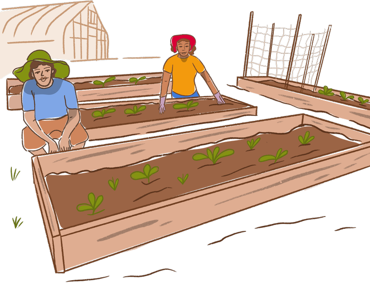 Detroit Urban Garden Resource Program | Keep Growing Detroit — Keep ...