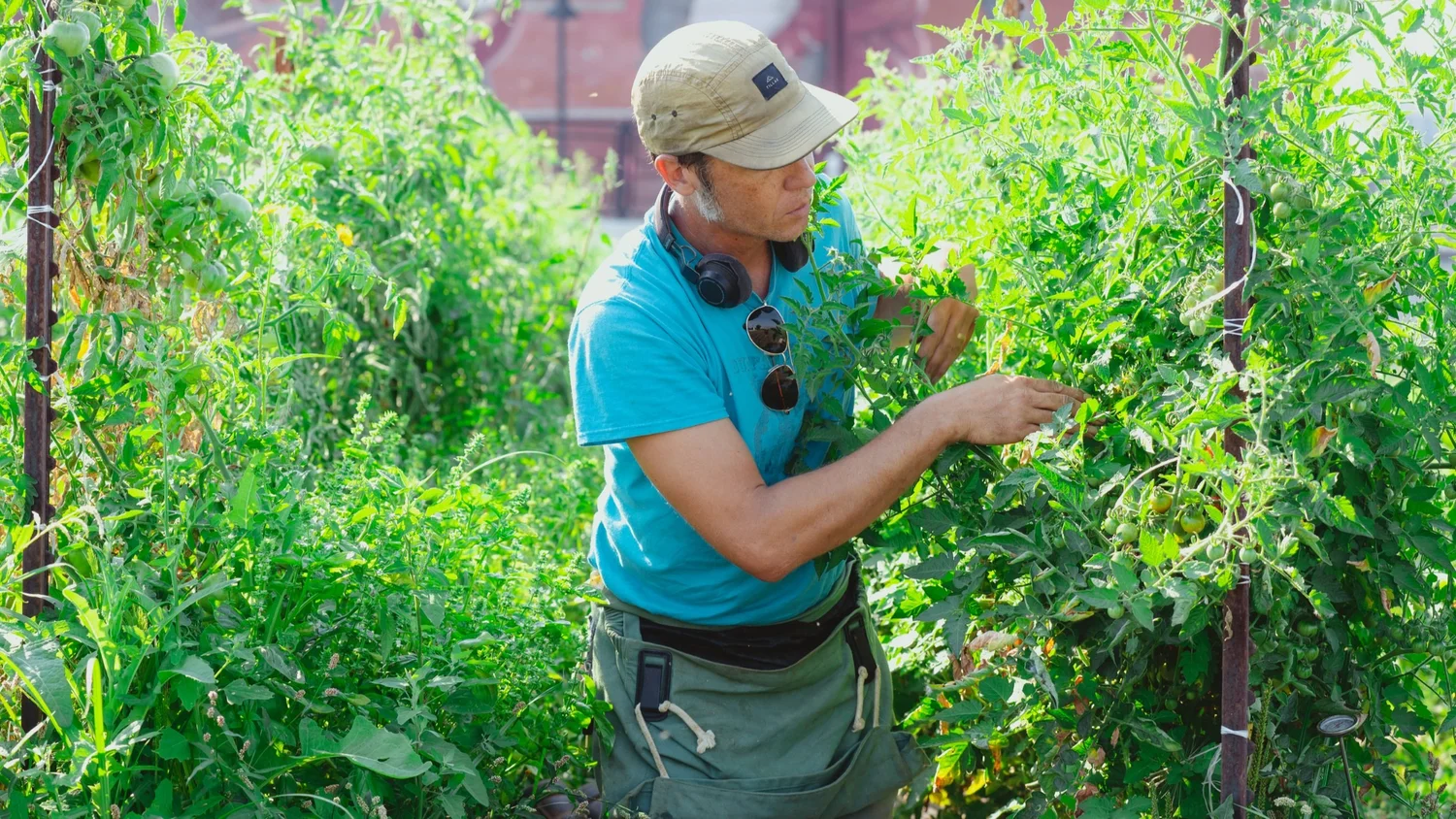 Grow Your Garden Guides — Keep Growing Detroit