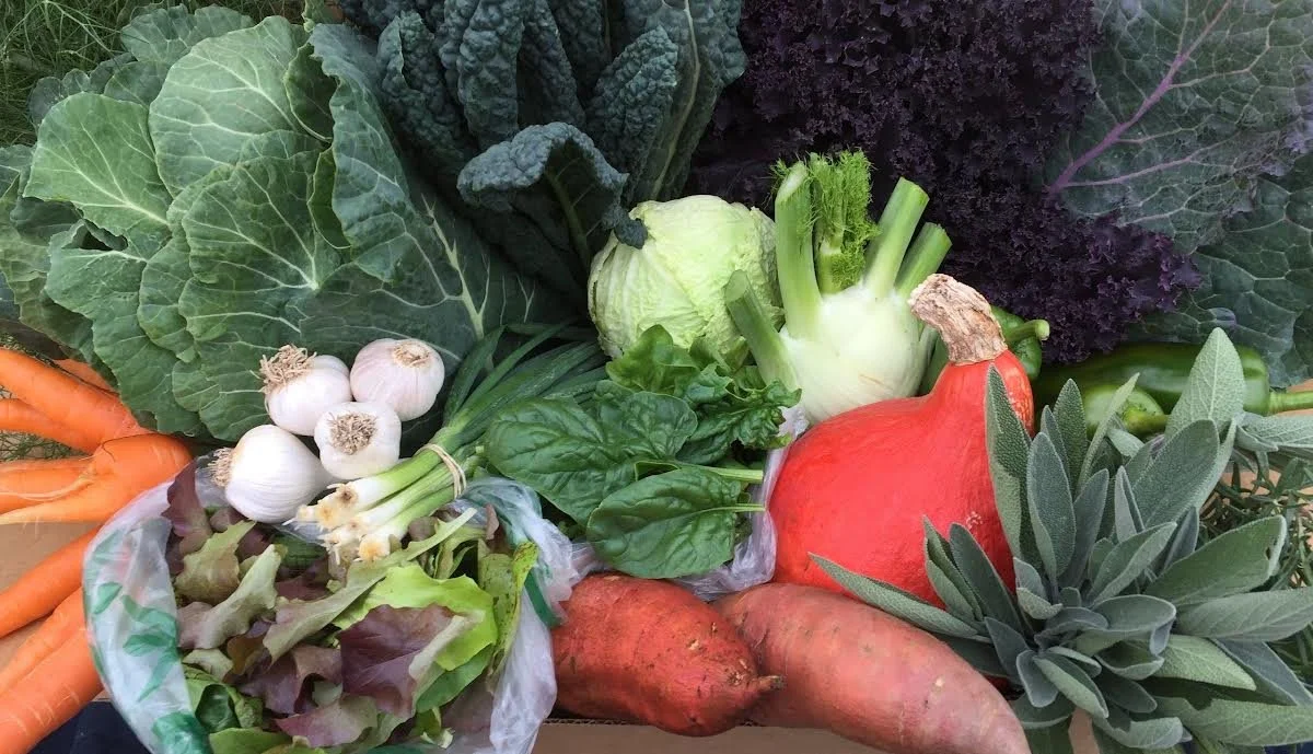 Grown in Detroit — Keep Growing Detroit