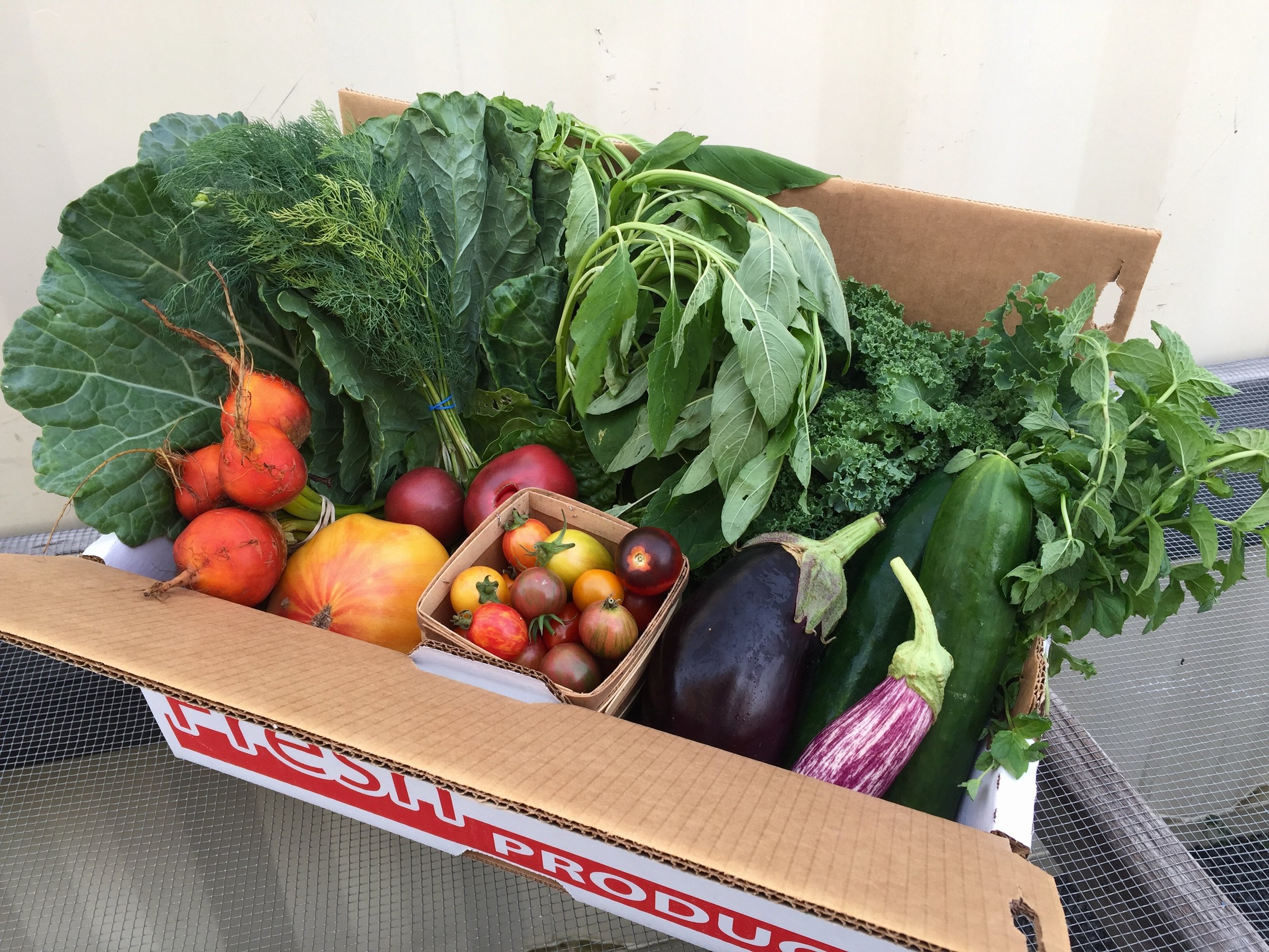 SAVE THE DATE: 2023 Grown in Detroit CSA - Early Bird Sign Up — Keep ...