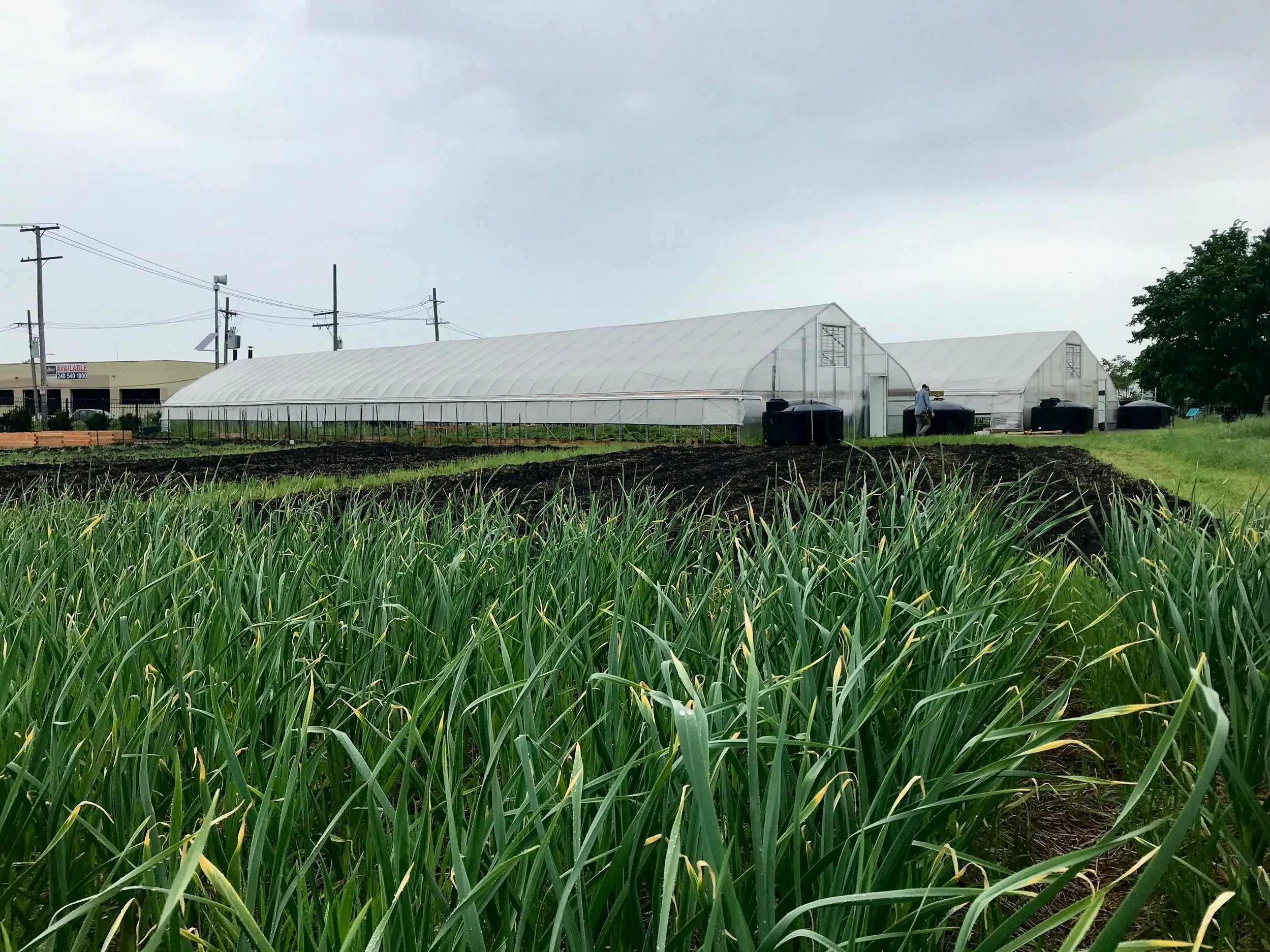 KGD Farm — Keep Growing Detroit