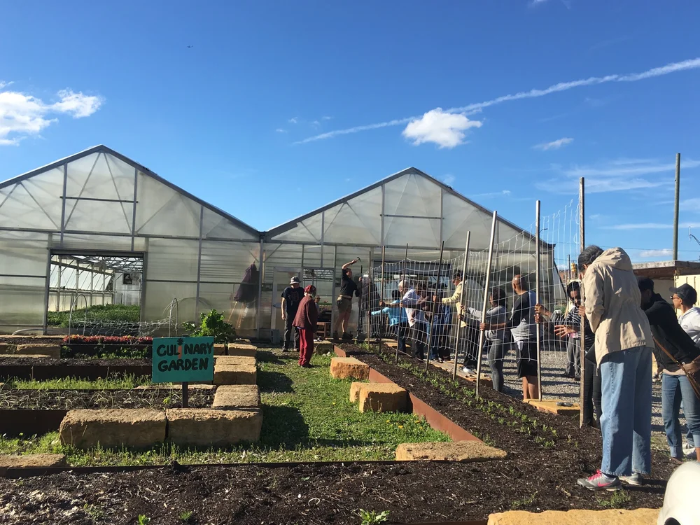 Mission & Impact — Keep Growing Detroit