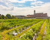 KGD Farm — Keep Growing Detroit