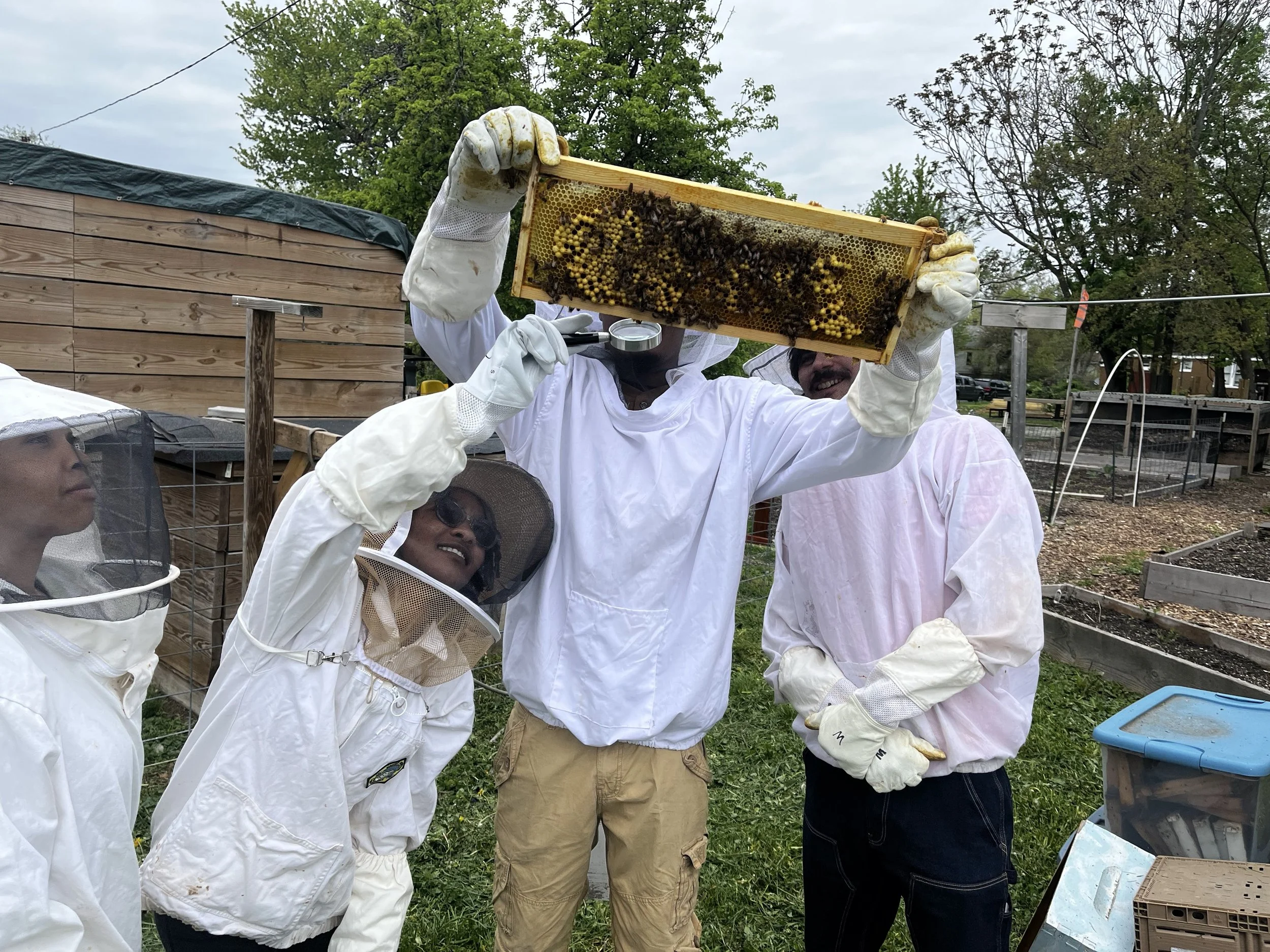 Beekeeping — Keep Growing Detroit
