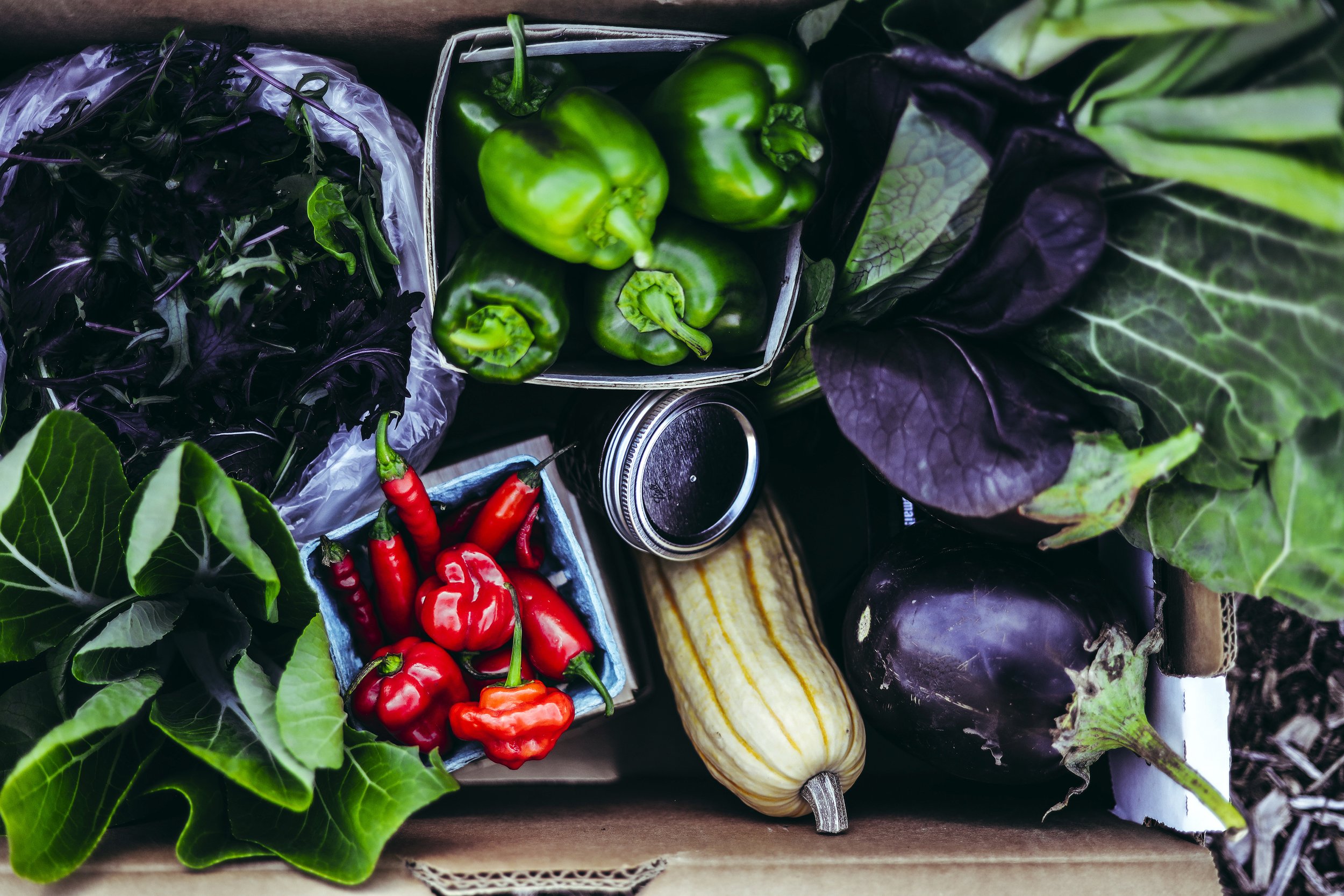 Produce Donations — Keep Growing Detroit