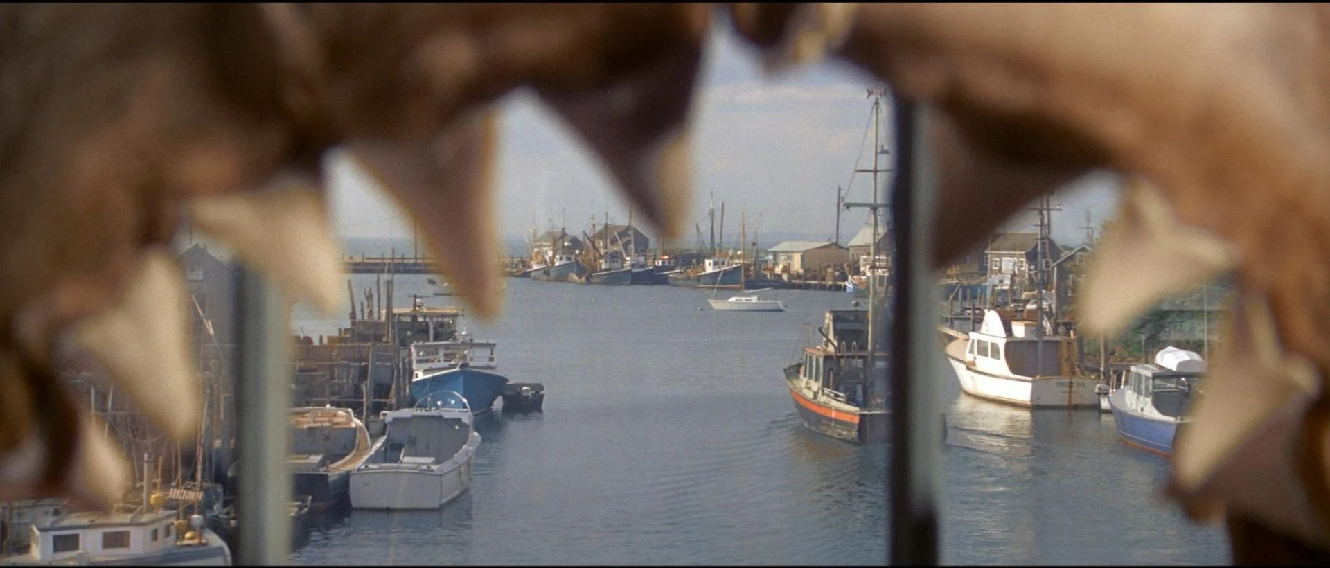 Charlie Does Surf! Is JAWS A Vietnam Movie? — The Daily Jaws