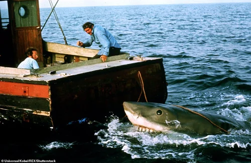 48 reasons why 'JAWS' is a masterpiece — The Daily Jaws