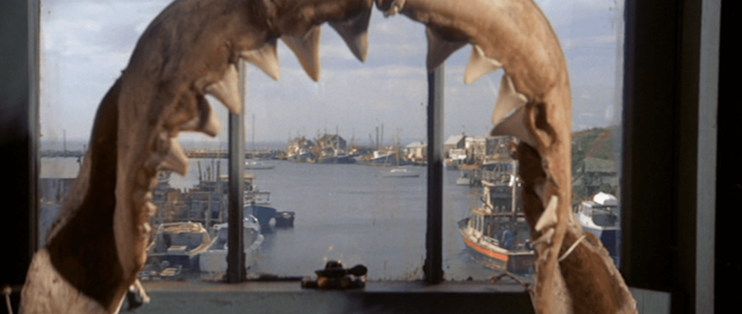 Why this is the single most important shot in Jaws — The Daily Jaws