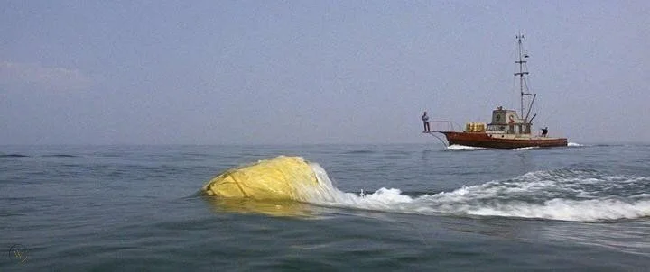 The Jaws Timeline: A definitive guide to the chronology of Steven ...