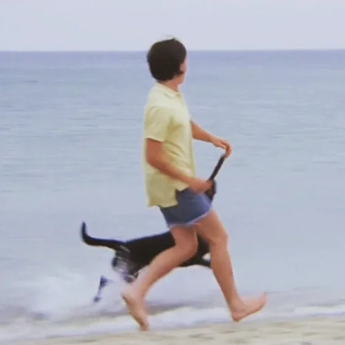 So, what REALLY happened to Pipit, the dog from JAWS? — The Daily Jaws