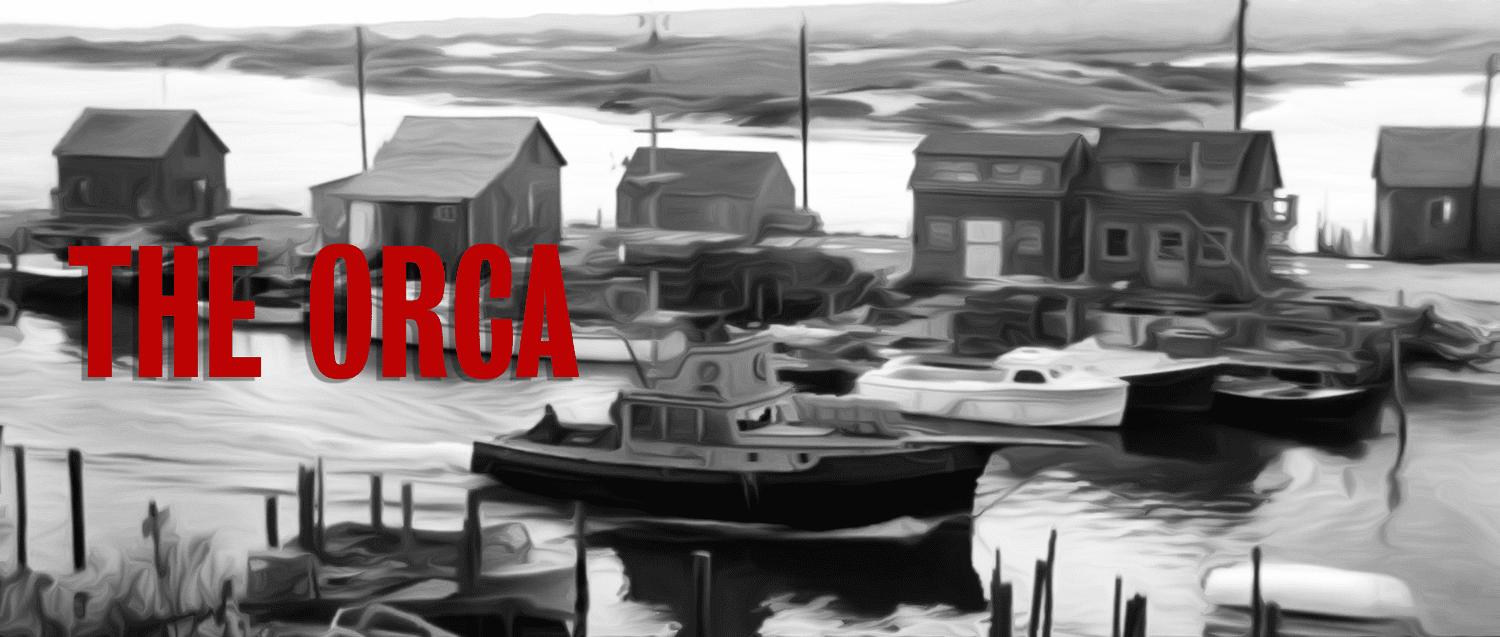 The Orca — The Daily Jaws