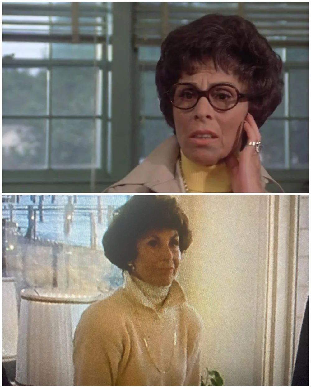THE JAWS STARS WHO RETURNED IN JAWS THE REVENGE — The Daily Jaws