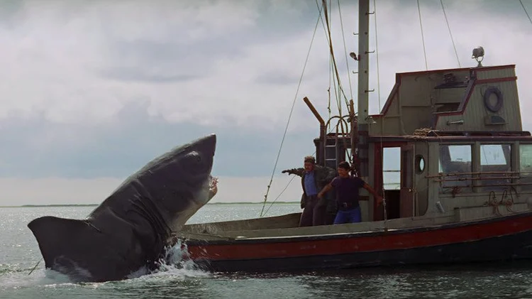 Comparing the fake shark in JAWS to a real Great White — The Daily Jaws