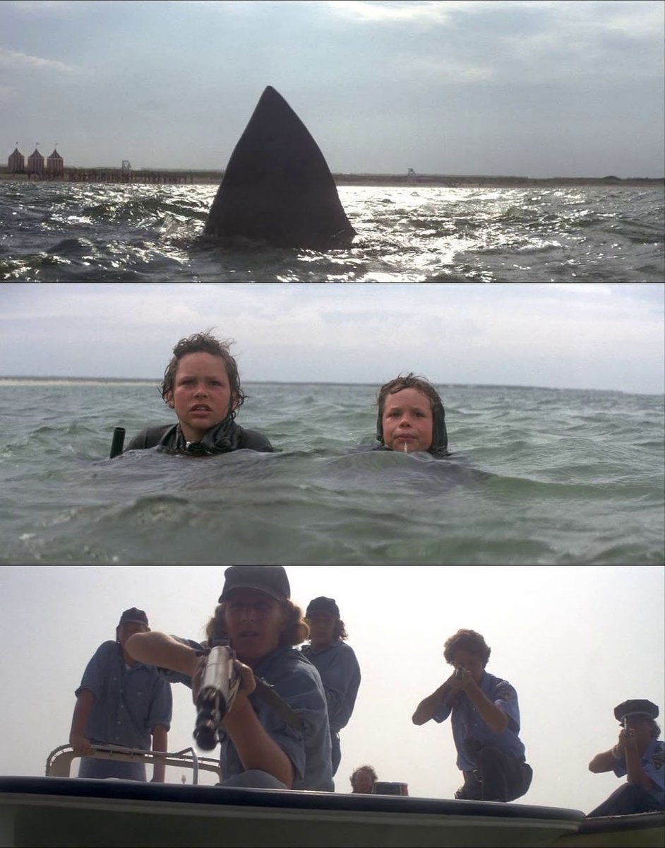 Shark fin hoax echoes scene from JAWS — The Daily Jaws