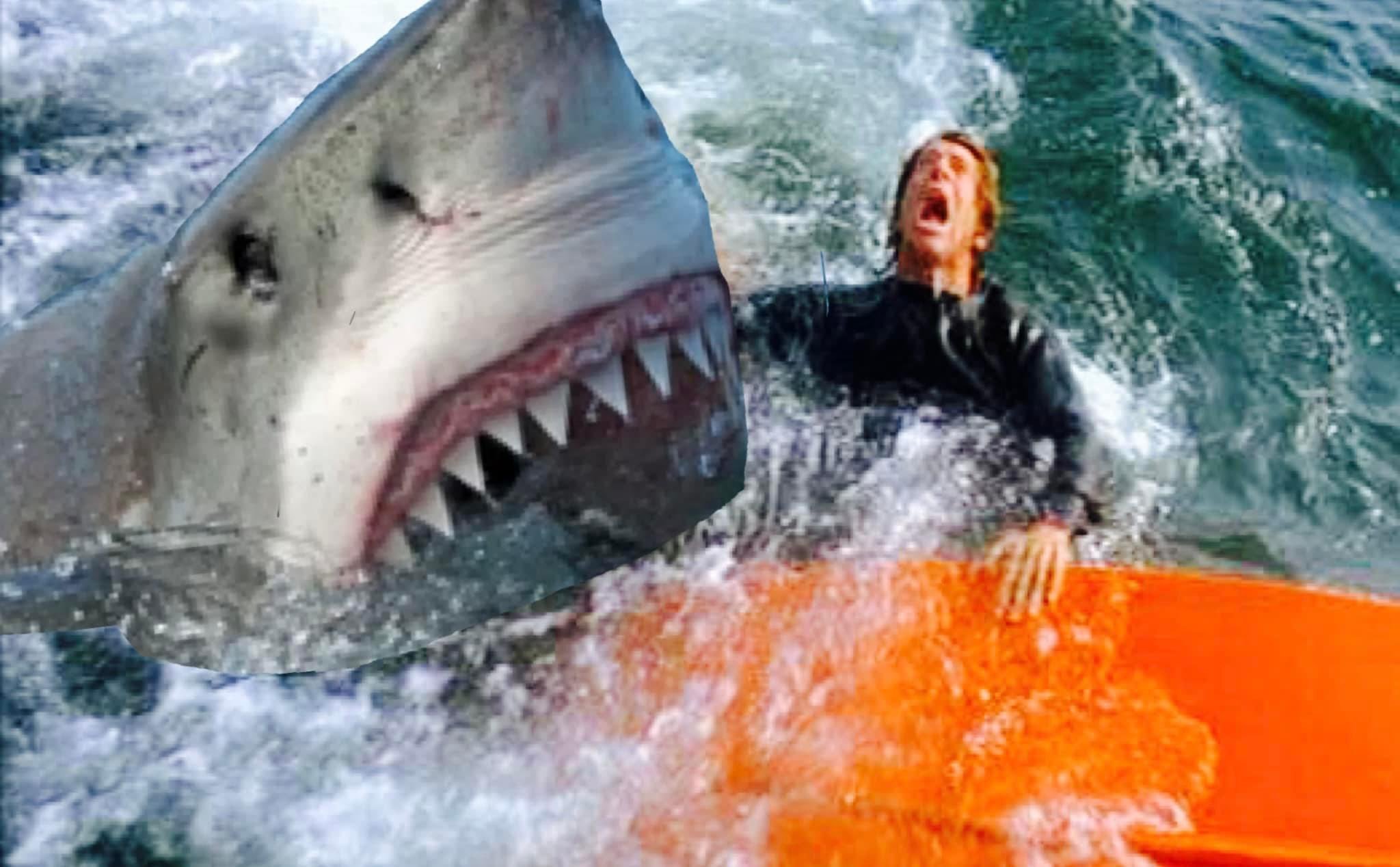 STUNTMAN SHARK DEATH: HORRIFIC TRAGEDY OR SICK MOVIE PUBLICITY STUNT ...