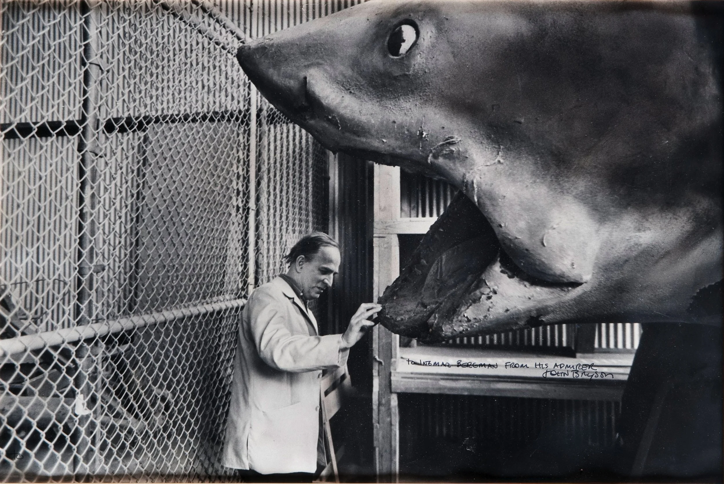 Will Jaws in 3D be coming to Bluray? — The Daily Jaws
