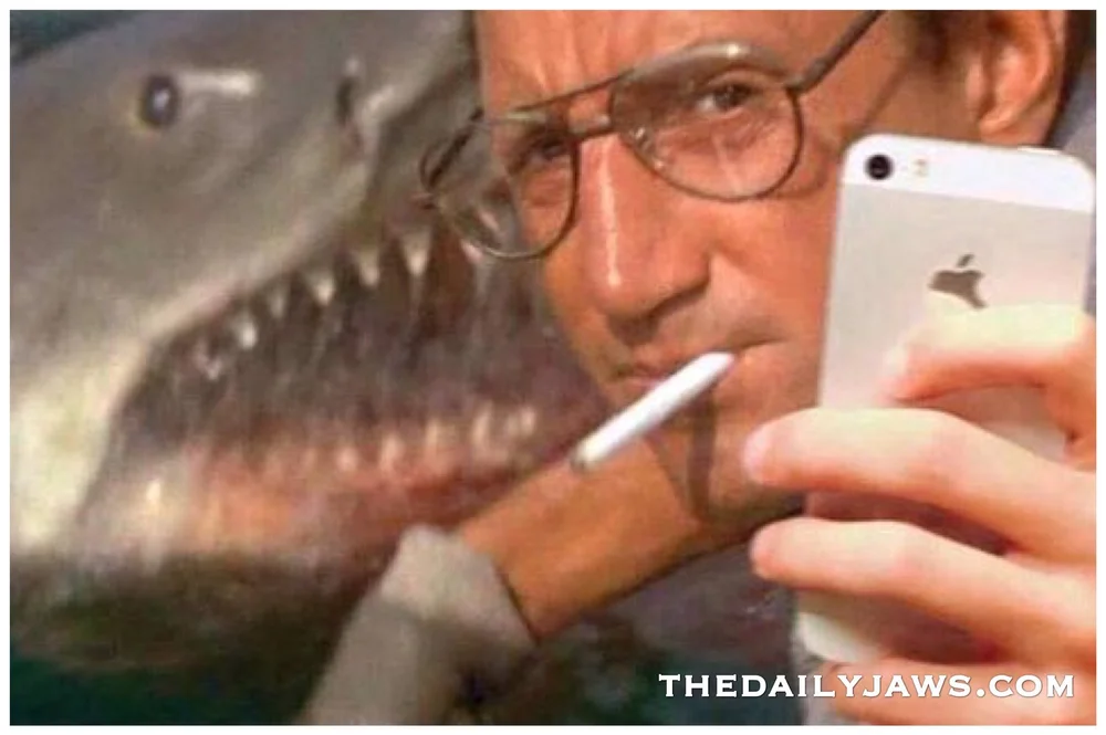 The legacy of 'Bruce' the shark from JAWS — The Daily Jaws