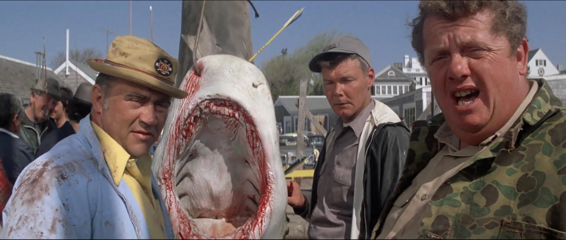"A shark, not THE shark": The tale of 'Oscar' the Tiger shark in JAWS ...