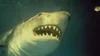 Ten things you (probably) didn't know about JAWS 3-D (1983) — The Daily ...
