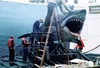 JAWS shark species seen 'adapting' to different environments for first ...
