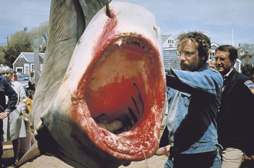 How JAWS has been a positive force for sharks for 50 years — The Daily Jaws
