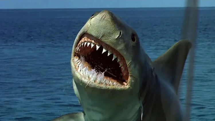 Ten things you (probably) didn't know about JAWS 3-D (1983) — The Daily ...