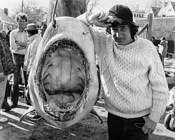 Steven Spielberg tells BBC he regrets negative impact on shark numbers ...
