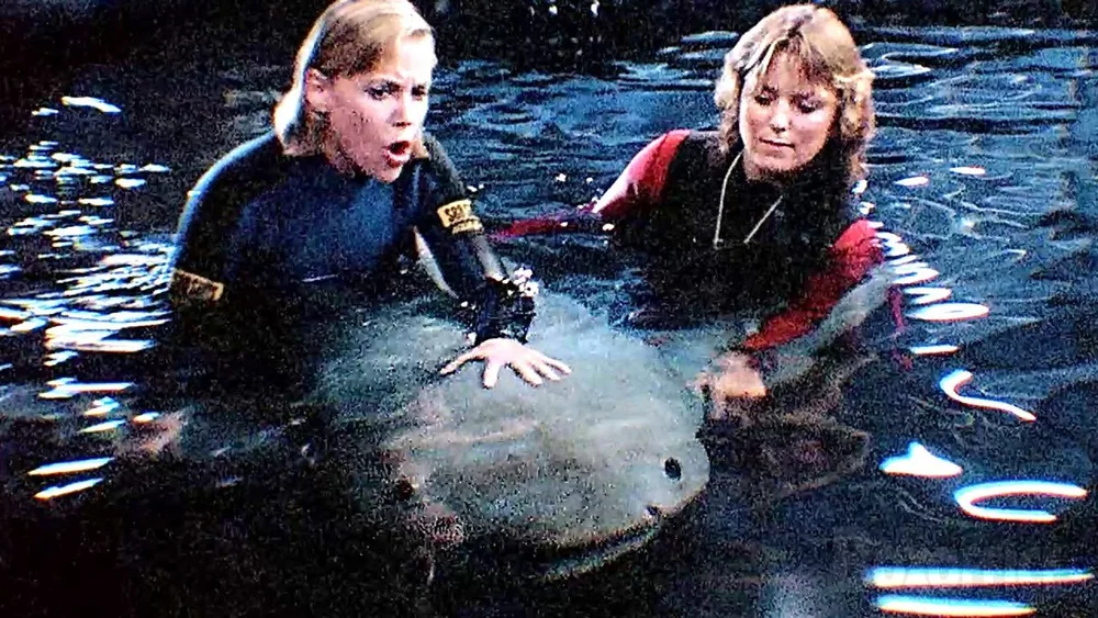 You're gonna need a bigger crib: Newborn JAWS shark caught on film for ...