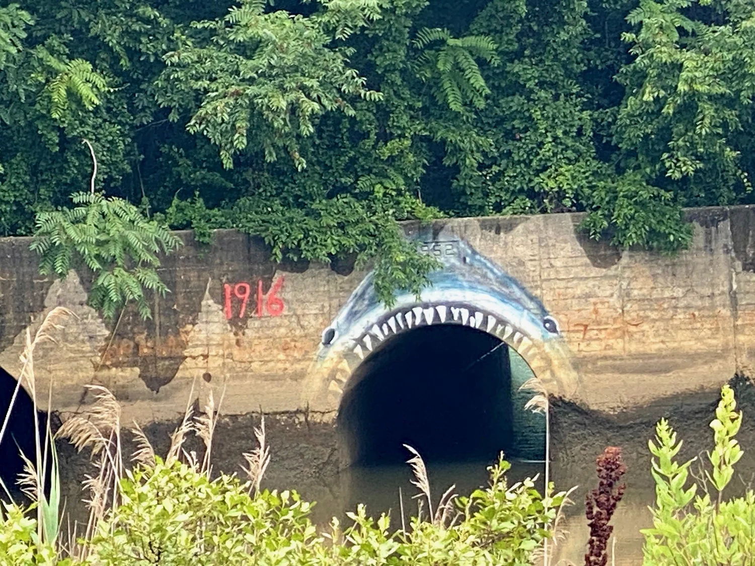The Jersey Shore shark attacks of 1916 — The Daily Jaws