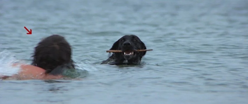 What if the shark from Jaws had killed these characters instead? — The ...