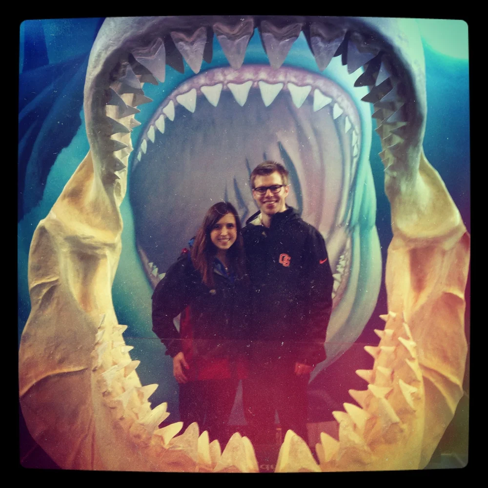 Review Of Jaws Reald 3 D 2022 Re Release The Daily Jaws