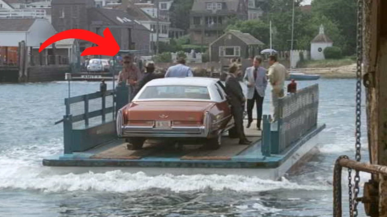 8 Funny Moments In Jaws You Probably Missed — The Daily Jaws