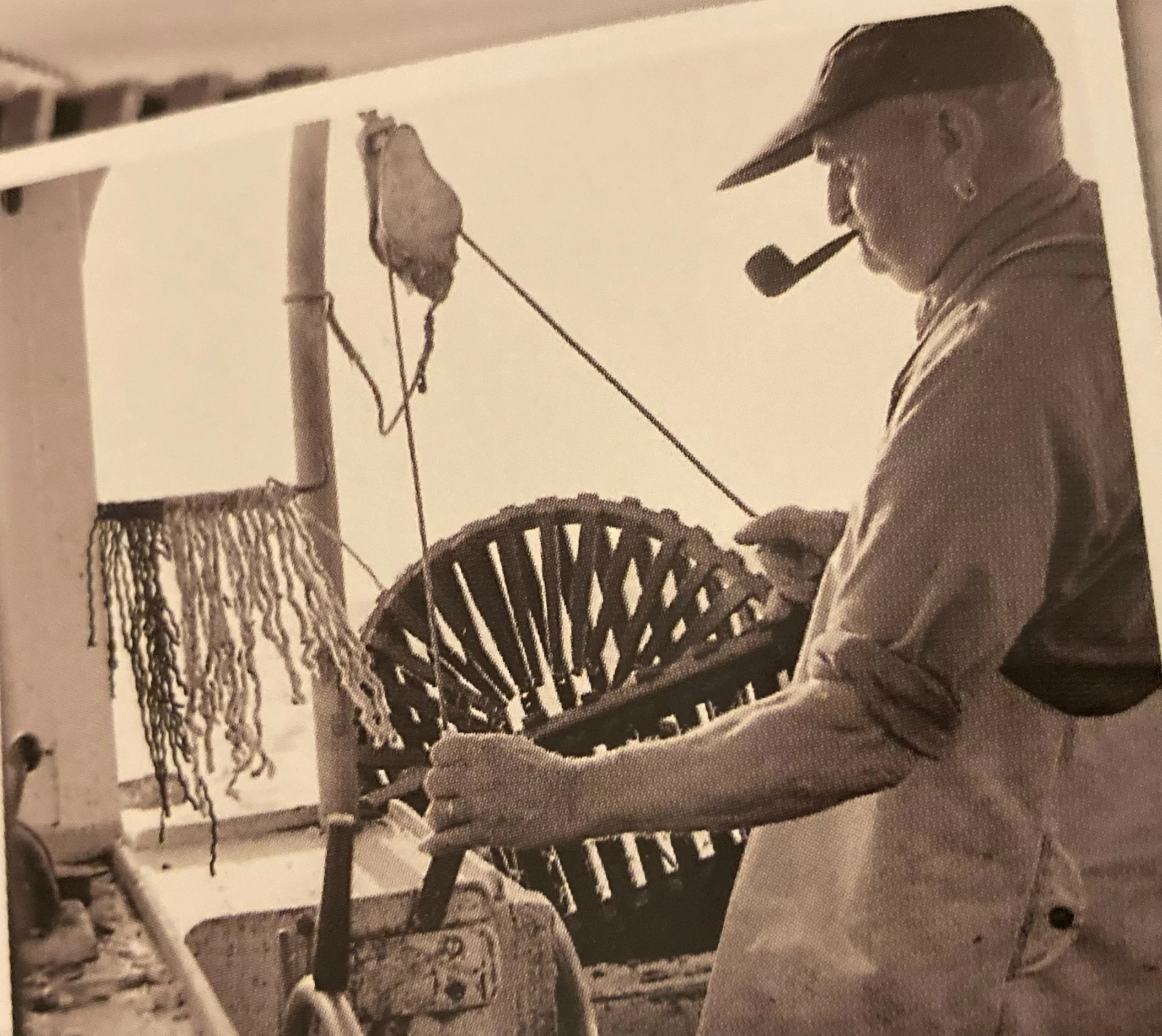 The JAWS extra who was Steven Spielberg's lunch pal... and didn't know ...