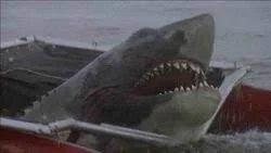 JAWS 2: More than just a shark sequel, it was also a teen slasher movie ...