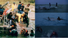 JAWS and the 'day for night' cinematic technique explained — The Daily Jaws