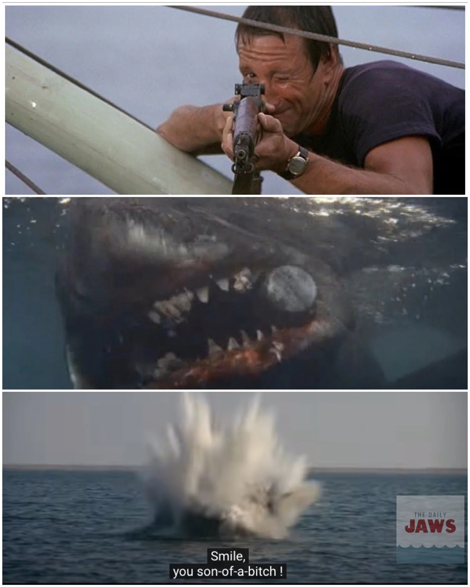 Mythbusting 7 crucial details in Steven Spielberg's shark classic JAWS ...