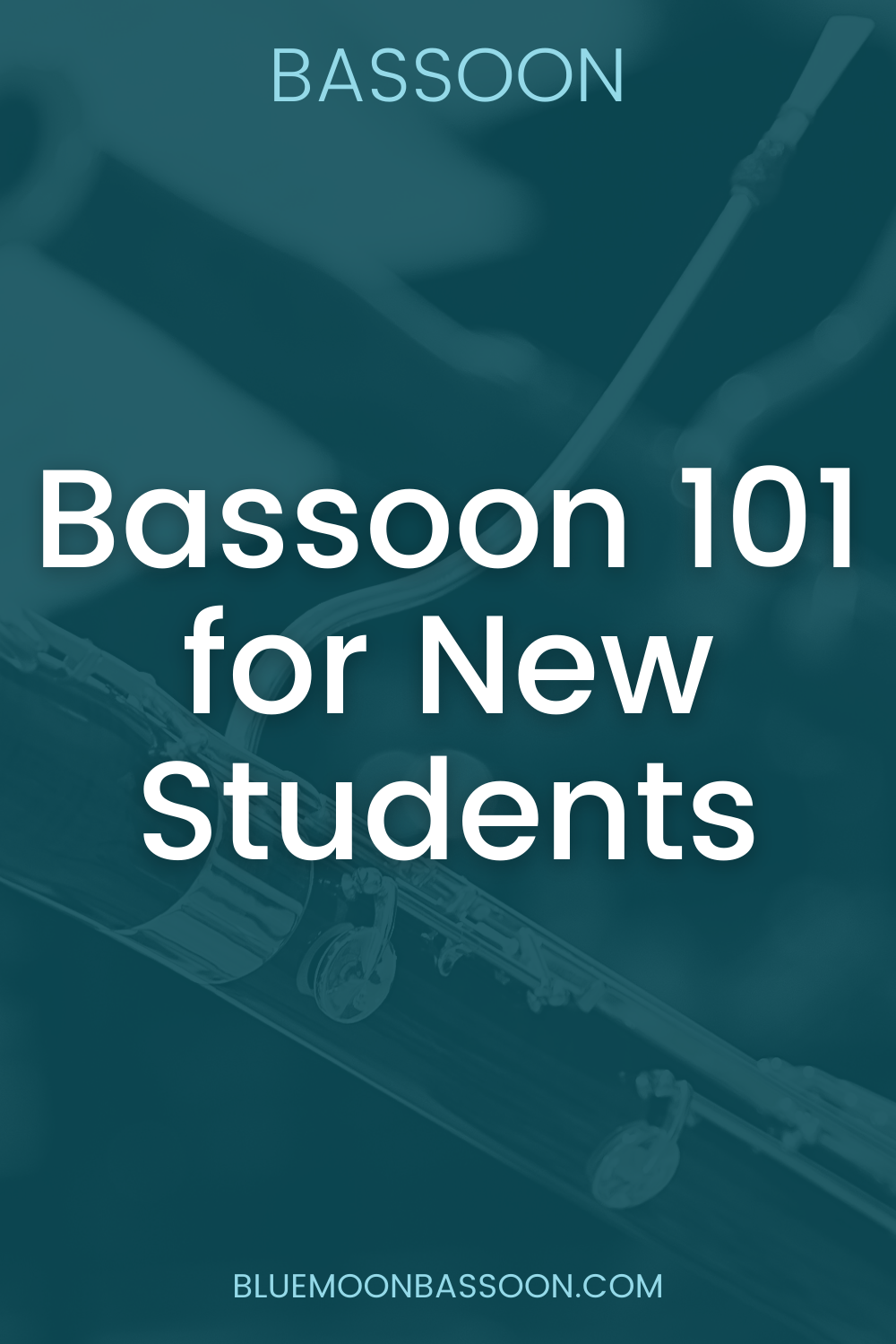How to Start Playing the Bassoon — Blue Moon Bassoon