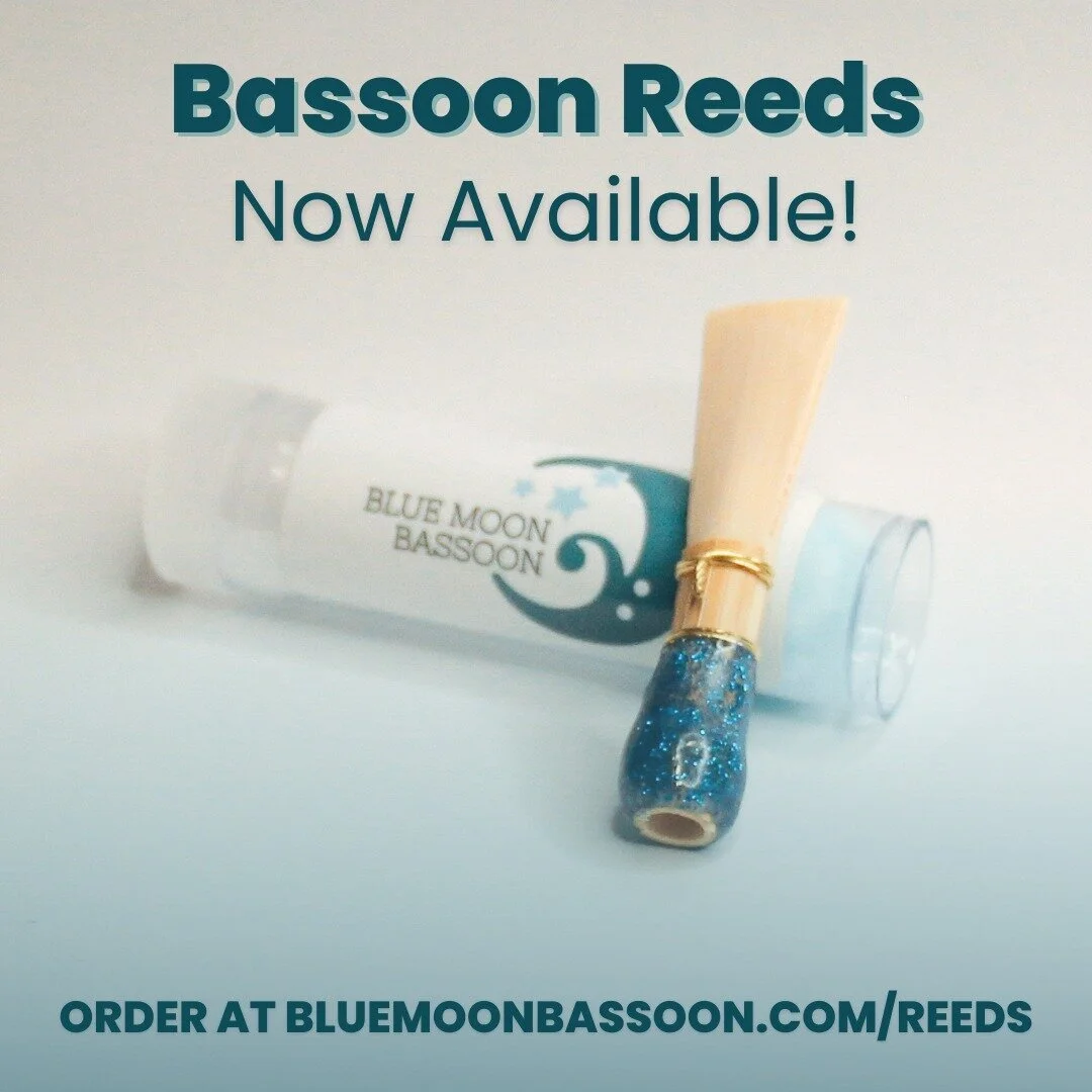 Why I Stopped Teaching Private Music Lessons — Blue Moon Bassoon