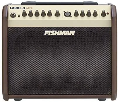 It’s Electric: The Amplified Bassoon — Blue Moon Bassoon