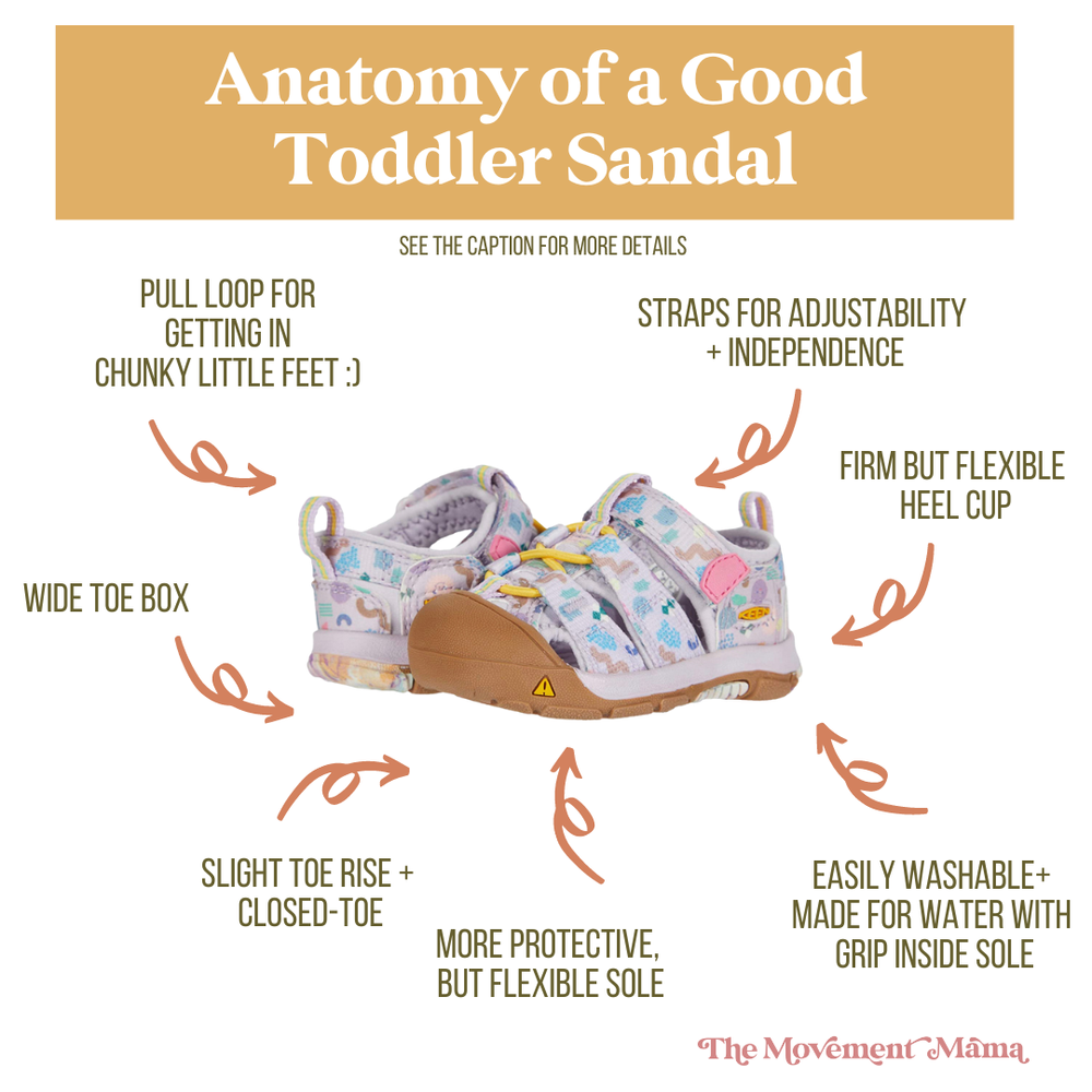 Anatomy Of A Good Toddler Sandal — The Movement Mama | Developmental ...