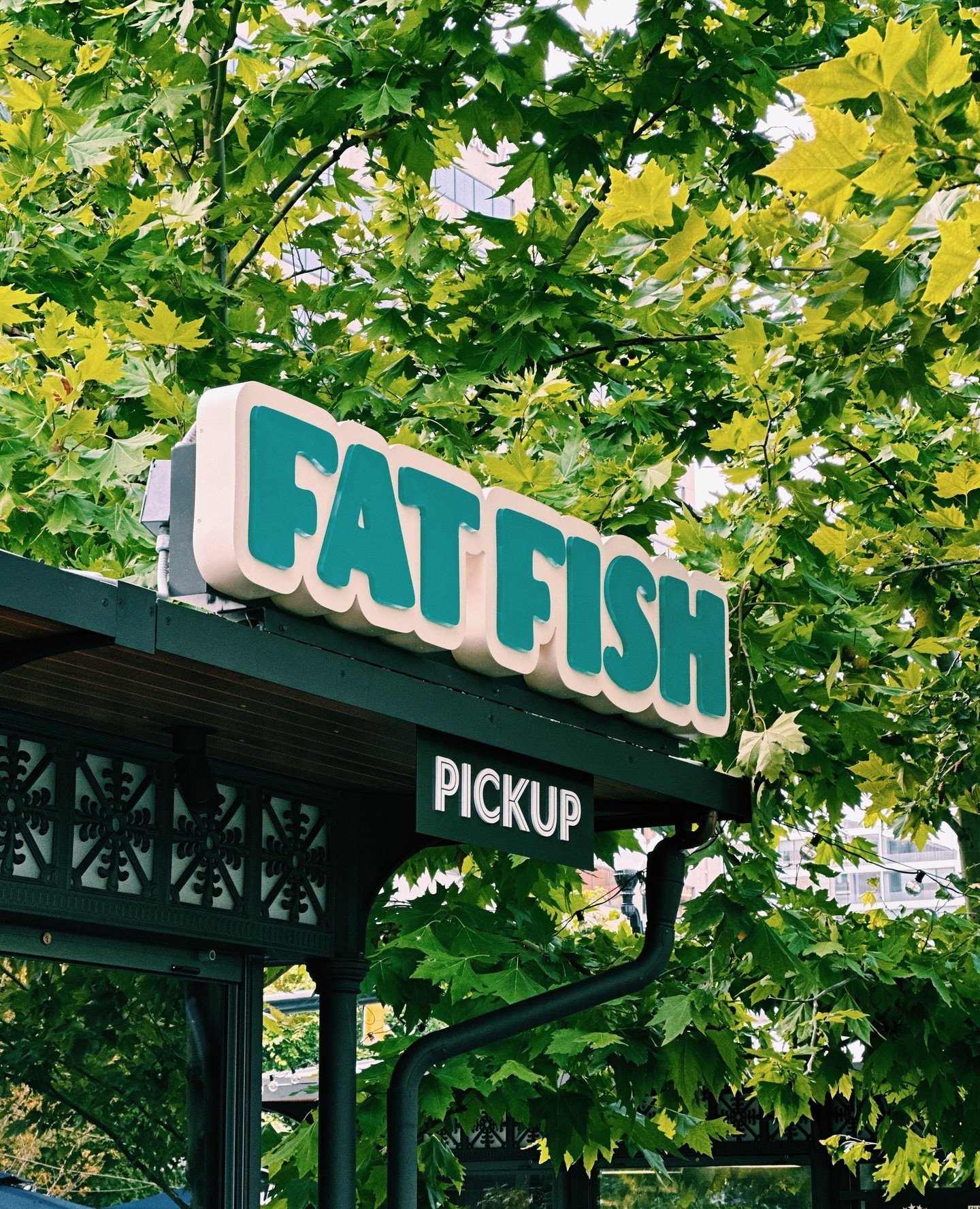 Fat Fish