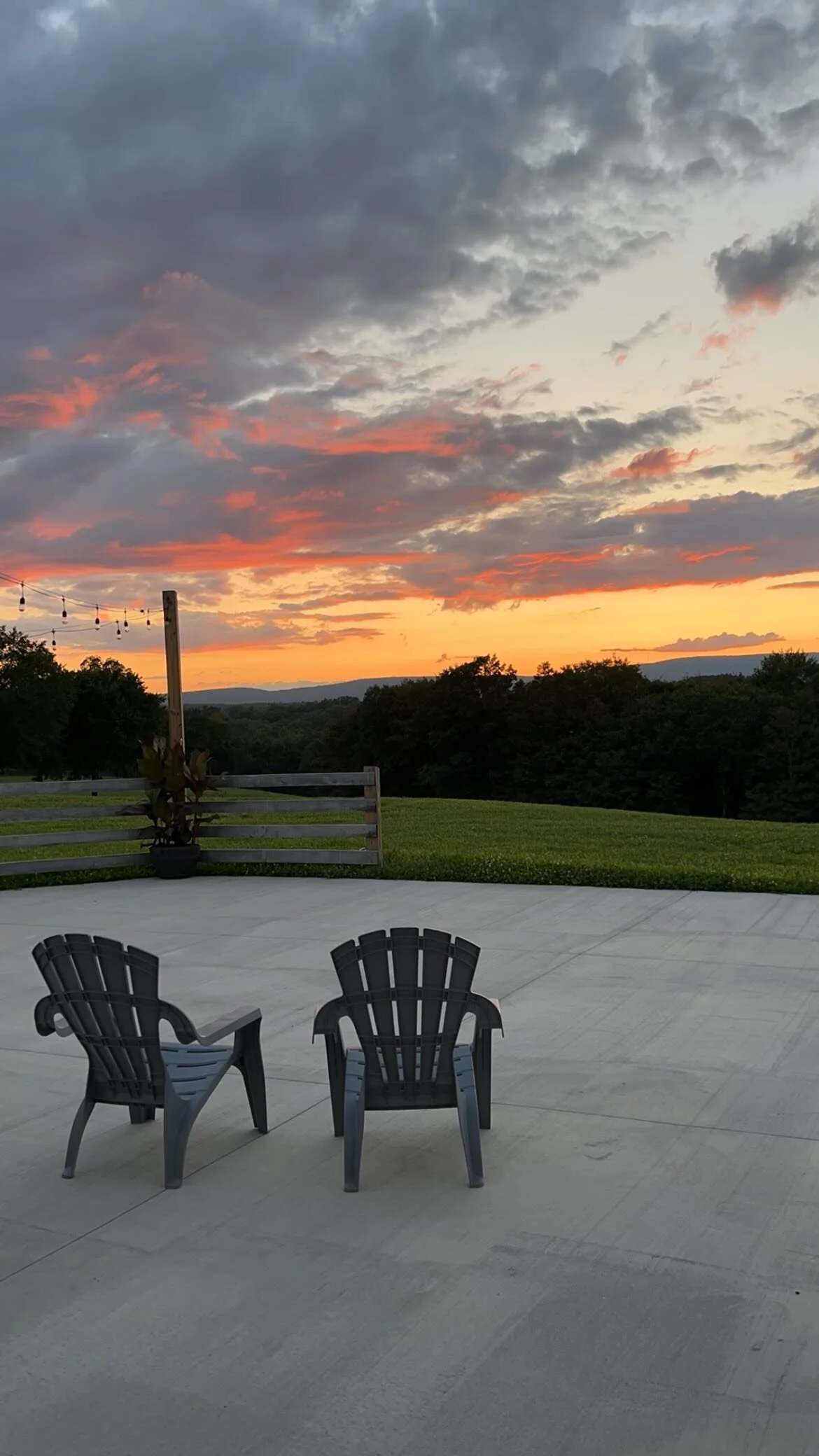 Gallery — Thompson Ridge View Farm