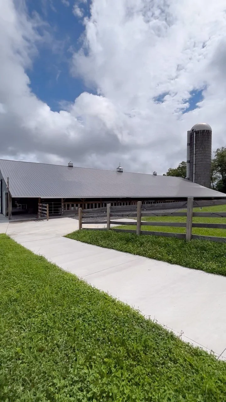 Gallery — Thompson Ridge View Farm