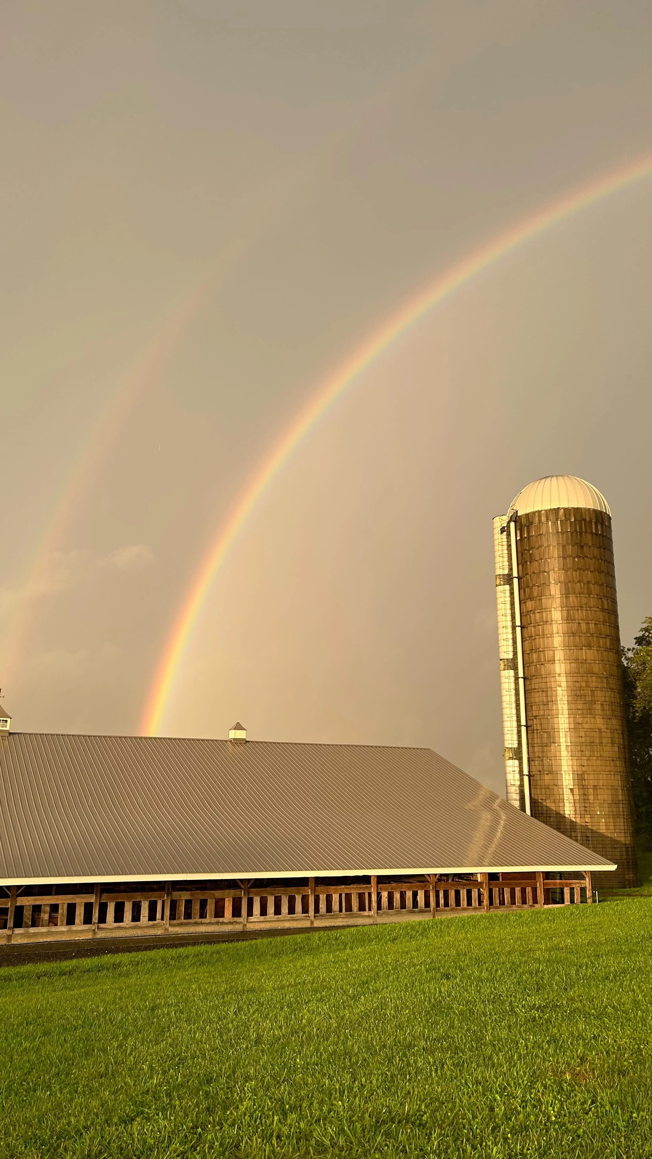 Gallery — Thompson Ridge View Farm