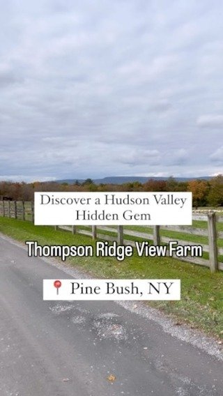 Gallery — Thompson Ridge View Farm