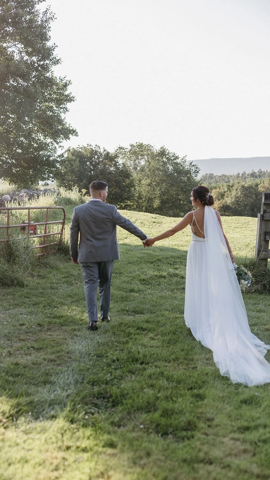 Gallery — Thompson Ridge View Farm