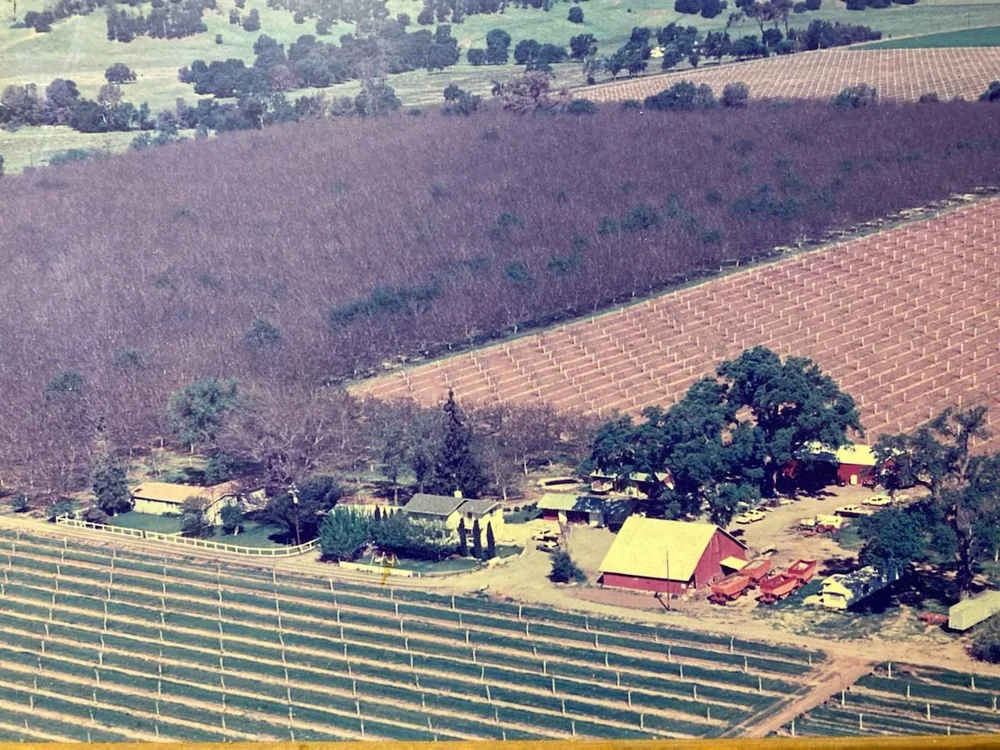 About Cache Creek Foods: Crafting Excellence in Nut Butter