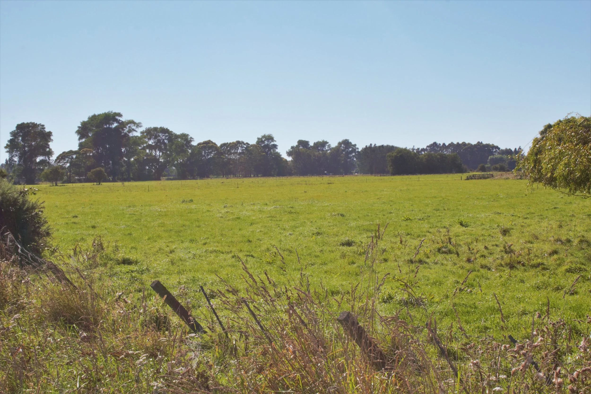 Who we are — Ohoka Estate