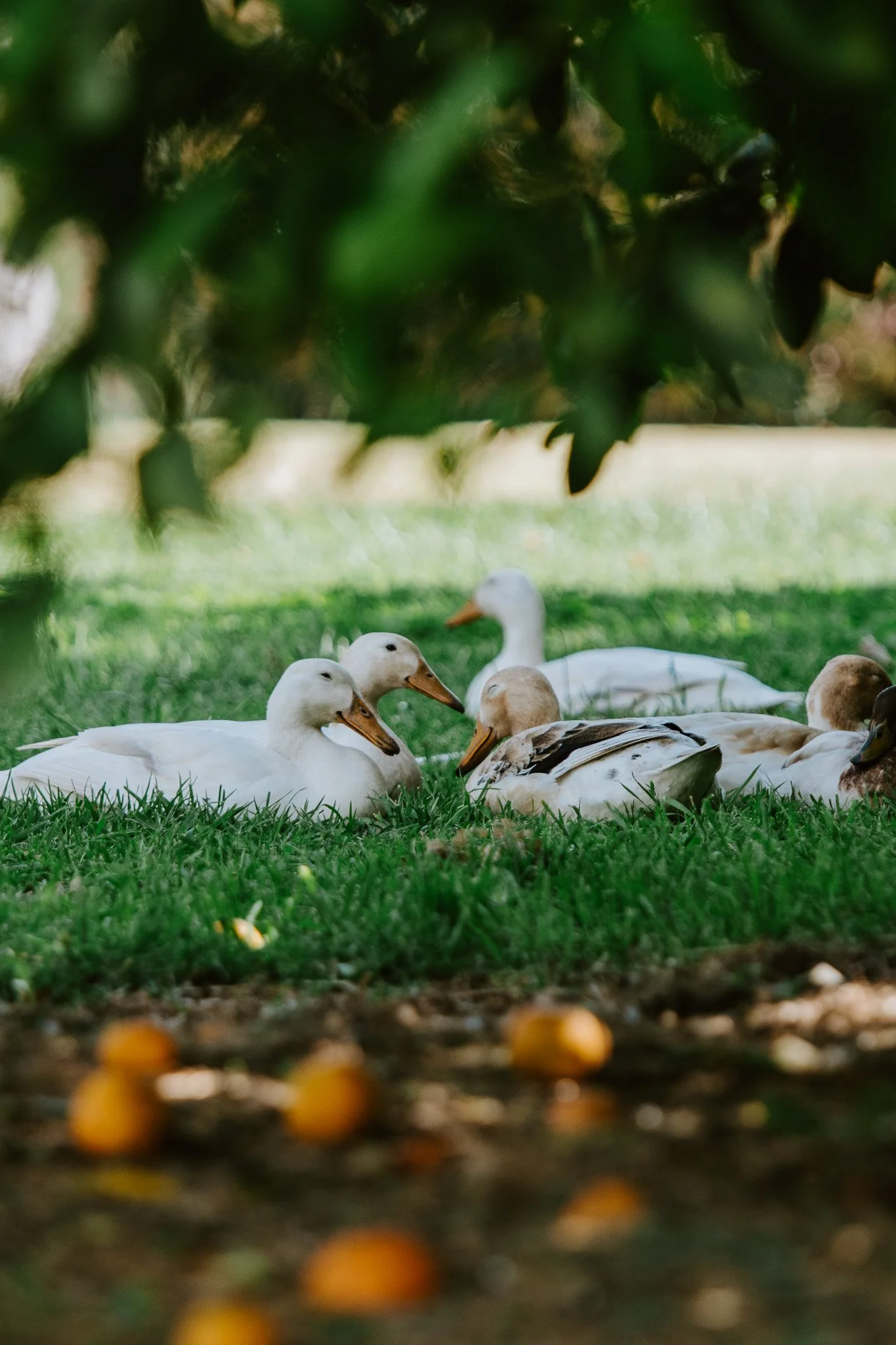 Georgia Bragg Photography