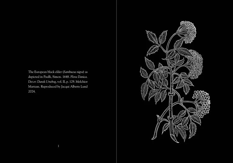 "Lady Elder Tree: Northern Plant Animism & Witchcraft" (Hopkins ...